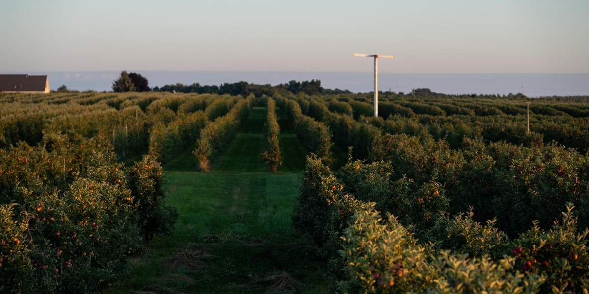 Kyle Rasch • Cultivating Conservation • Mad Agriculture