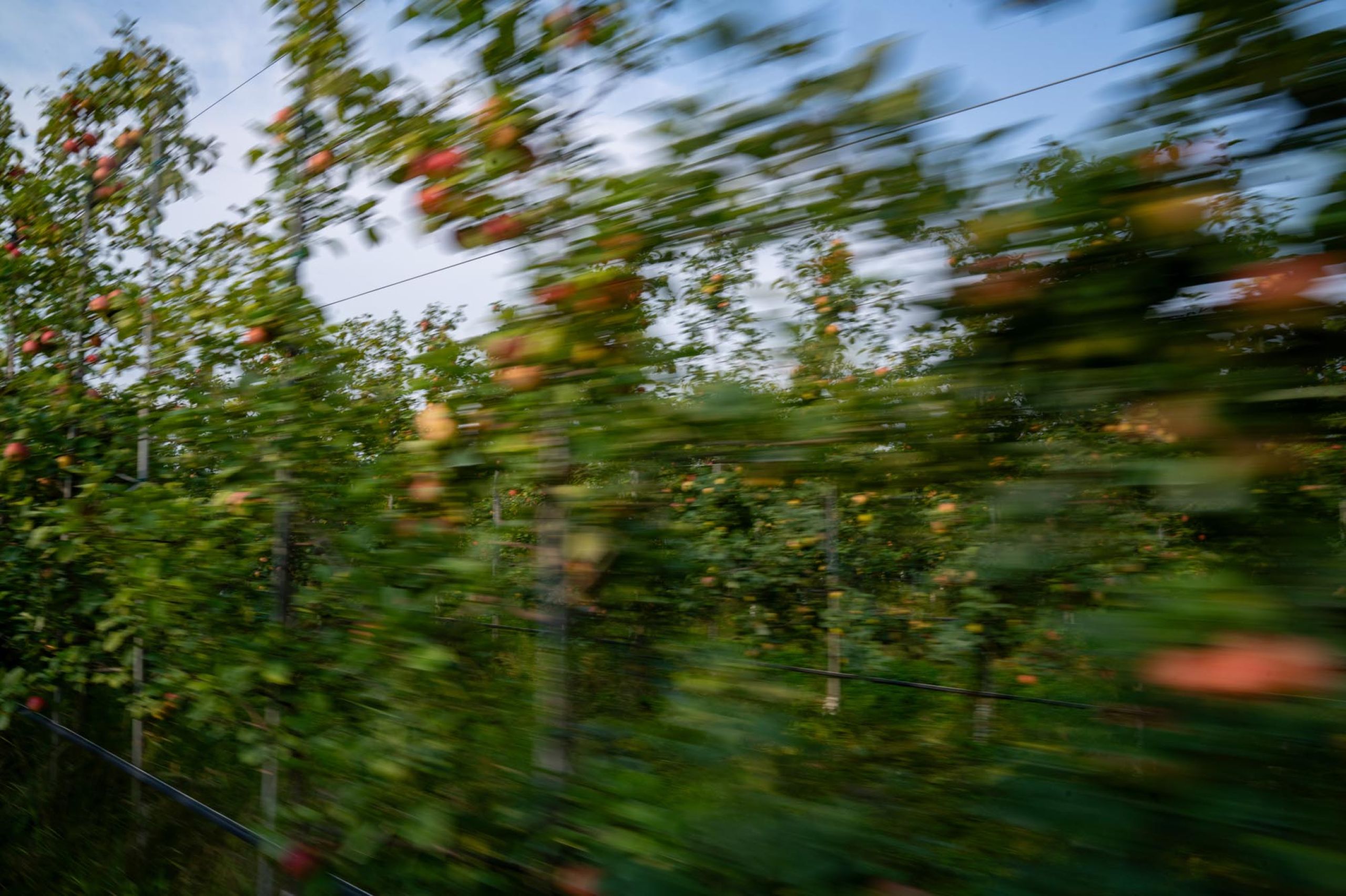 Kyle Rasch • Cultivating Conservation • Mad Agriculture